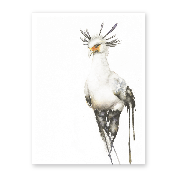 Stephen Baxter Art – Blog – Alternate Layout